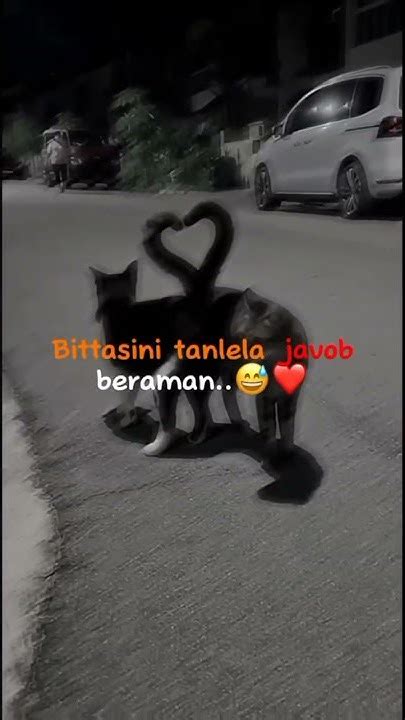 Coment Yozin Youtube