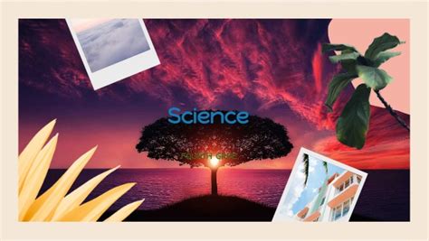 Pollination 4th Grade Genially