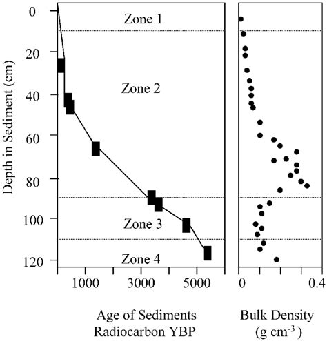 Radiocarbon Estimated Age And Bulk Density Of Sediments With Depth In Download Scientific