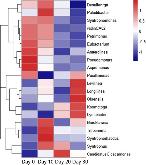 Evolution Of Bacteria Communities At The Genus Level Download