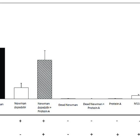 The Effect Of Live And Dead Staphylococcus Aureus And The Presence Of