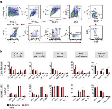 Organotypic Tumor Slice Cultures Provide A Versatile Platform For