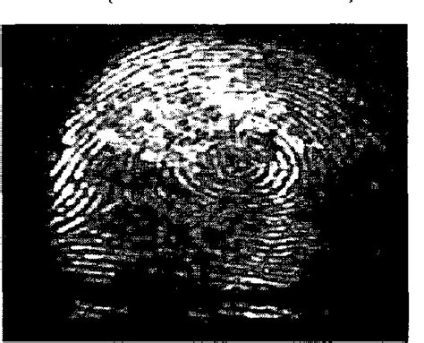 Figure 1 From A New Contrast Measure Based Image Enhancement Algorithm