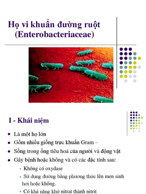 Enterobacteriaceae Pdf