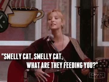Smelly Cat Life Preserver Friends  Find On Er