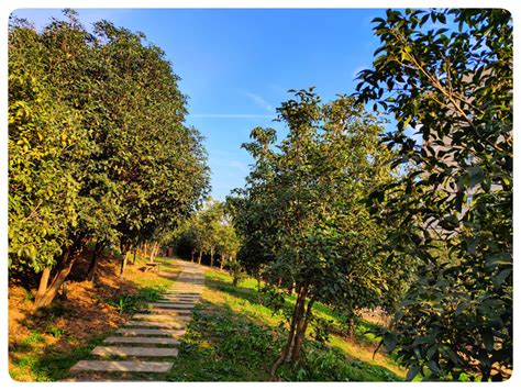 【影像】第七届美丽师院·美丽青春摄影比赛作品选登 信阳师范大学新闻网