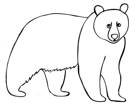 Bear Traceable Bear Forest Tracie Kiernan Step By Step Painting