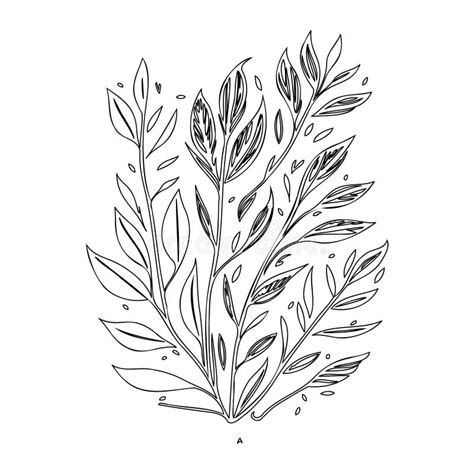 Parallel Leaf Floral Outline Illustration Sketch Stock Vector