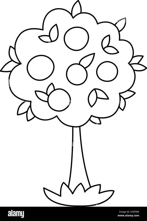 Tangerine Coloring Pages 2025