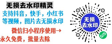 javascript在哪里启用：如何、哪些浏览器、详细步骤 潮师it编程网