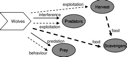 Expected Interactions Between Re Colonizing Wolves And Other Species