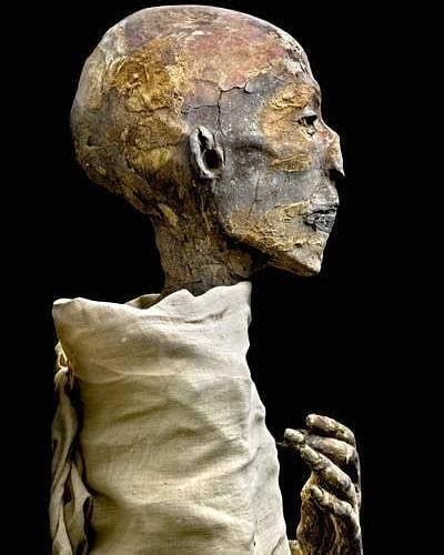 The Mummy Of Ramesses Iv 1155 1149 Bc Son Of Rameses Lll Who Was Murdered In The Harem