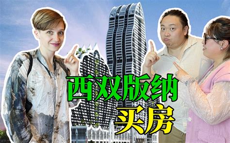 朋友5年前在西双版纳40万买的房，今天终于下来了，心情复杂 保护野菠萝 保护野菠萝 哔哩哔哩视频