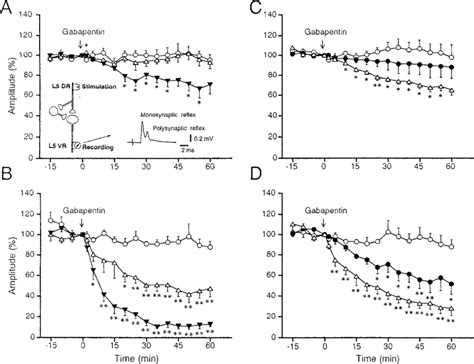 Gabapentin Suppresses Mono And Polysynaptic Reflex Potentials Download Scientific Diagram