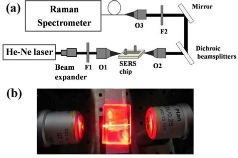 A Schematic Diagram Of The Detection Setup B The Chip Under