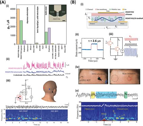 Conjugated‐polymer‐based Electrochemical Transistors For Download Scientific Diagram
