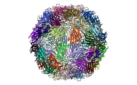 Tutorial Pycapsid Documentation