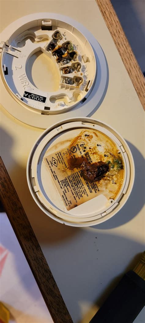 The System Sensor 2w B Ld Rfirealarms