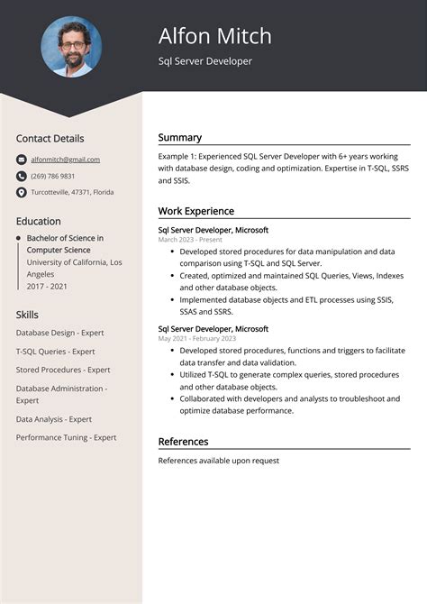 Sql Server Developer Resume Examples Template Tips