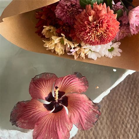 Linda Groth Lyndaleyn • Instagram Photos And Videos