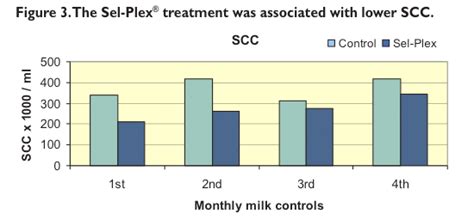 Organic Selenium Effects On Dairy Cows The Cattle Site