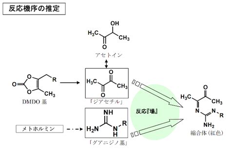 メトホルミンを変色させるのはオルメサルタンだけではなかった Yg研究会 賢く生きる