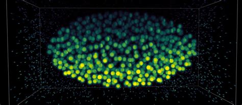 1 Introduction — Biobeam 010 Documentation