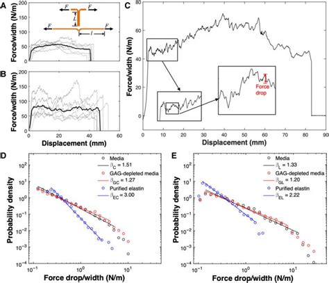 Avalanches And Power Law Behavior In Aortic Dissection Propagation