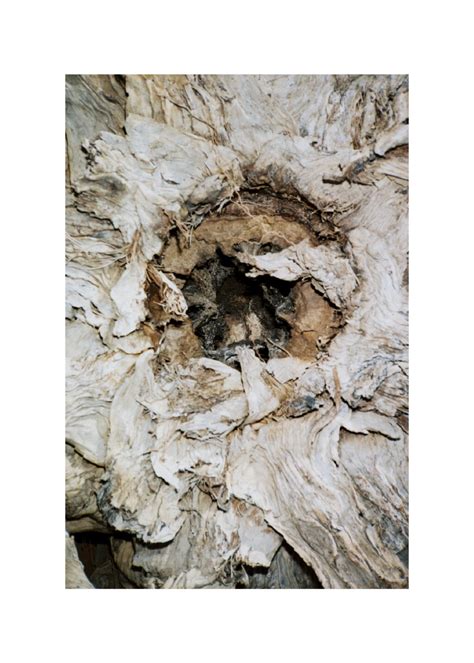 Kniha Mezer Showcase Fmk Utb Showcase Fmk Utb