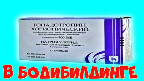 Гонадотропин и его использование в бодибилдинге