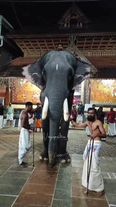 Thechikottukavu Devidasan Youtube