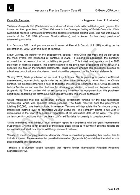 Assurance Samplecasegevorgcpa V2 Gevorg Cpa