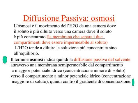 Ppt Trasporto Cellulare Powerpoint Presentation Free Download Id5730483