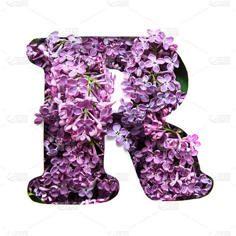 英文字母中的r来自丁香