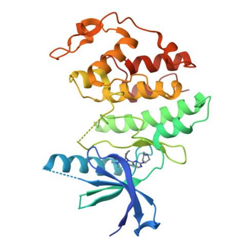 Rcsb Pdb 8i0m Structure Of Cdk6 In Complex With Inhibitor
