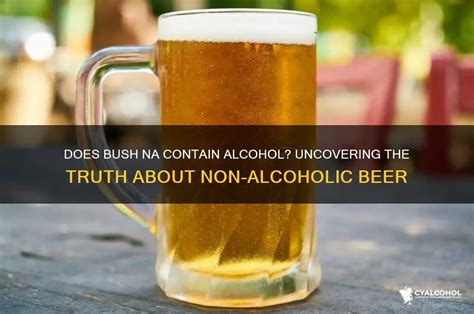 Does Bush Na Contain Alcohol Uncovering The Truth About Non Alcoholic