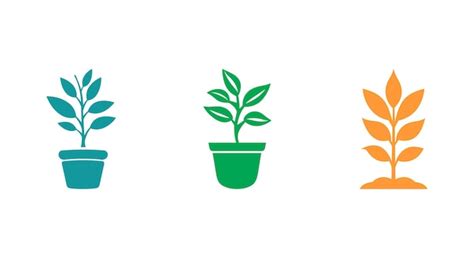 Premium Vector Young Tree Growth Vector Illustrations