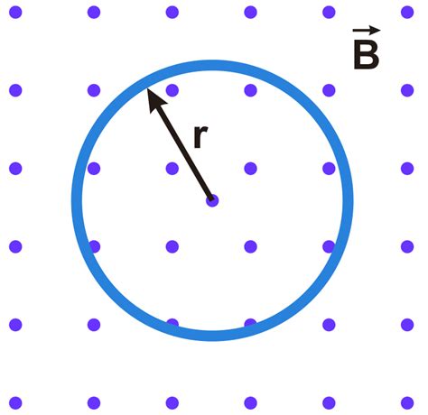 a circular loop of wire is in a region of spatially uniform mag n