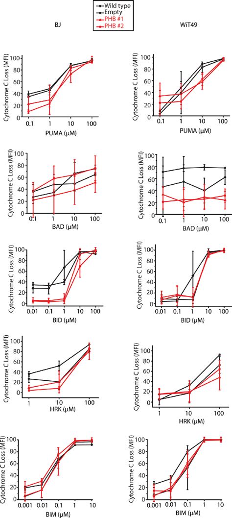 Bh3 Profiling Reveals Globally Decreased Apoptotic Priming In Response