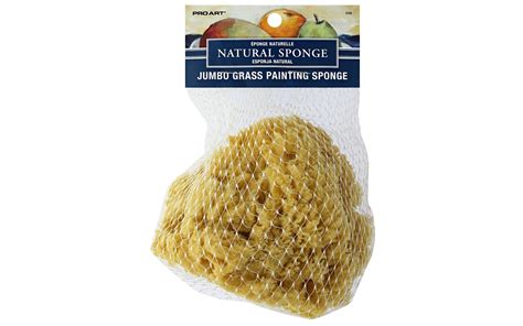 Pro Art Sponge Natural Grass 1 Large Michaels