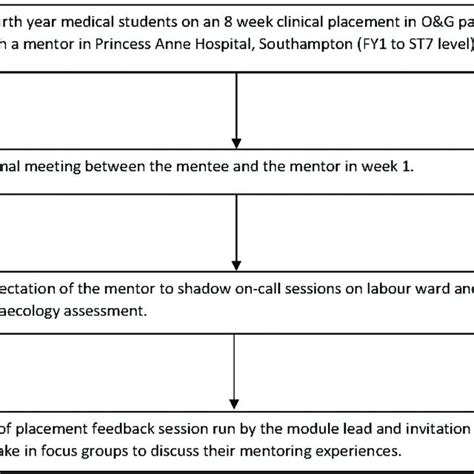 Flow Diagram Detailing The Mentoring Process On Clinical Obstetrics And
