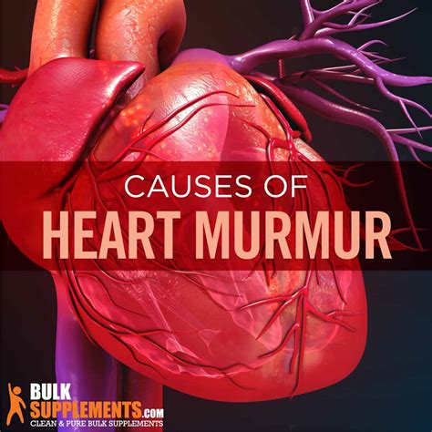 Heart Murmur Dont Let It Break You Find Out How To Manage Murmurs