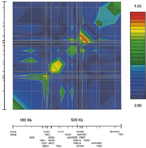 Distribution Of Pair Wise Linkage Disequilibrium D′ Across The Tcr