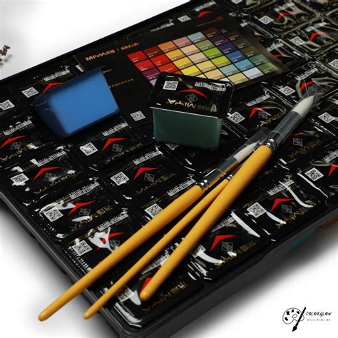 Miya And Himi Farben Entdecken Sie Die Welt Der Lebendigen Farben Und