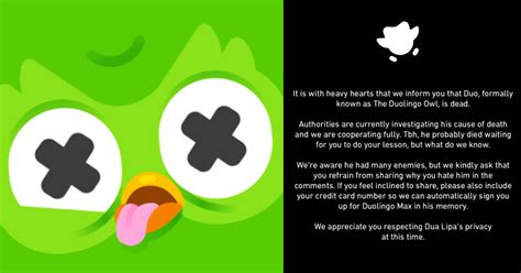 Muere Duolingo ¿tragedia O Estrategia De Marketing