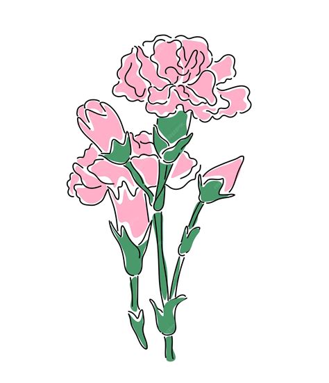 Premium Vector Hand Drawn Carnation Flower Line Art