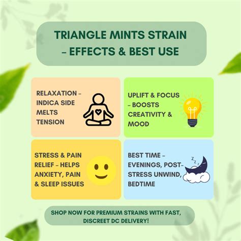 Triangle Mints Strain