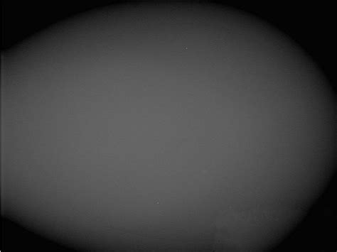 A Freshwater Nbcp In Which Only A Small Feature Proving Is Non Bead Download Scientific Diagram