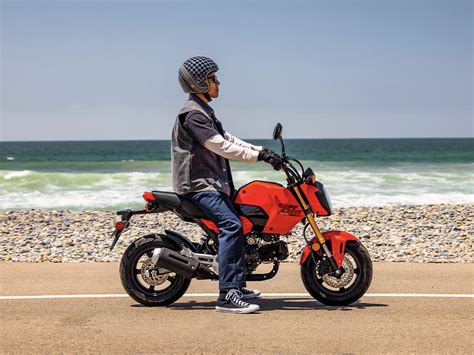 New 2026 Honda Grom Motorcycles In Hudson Fl