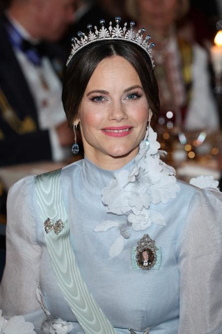 La Princesa Sofía De Suecia Se Ve Envuelta En El Caso Epstein Por Su